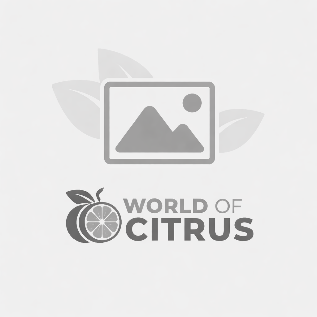 Cleopatra Mandarin - World of Citrus